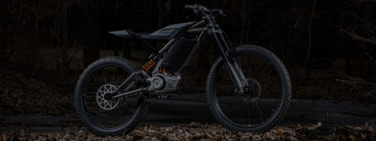 First Look at Harley-Davidson's New Electric Bikes - Quad Lock ...